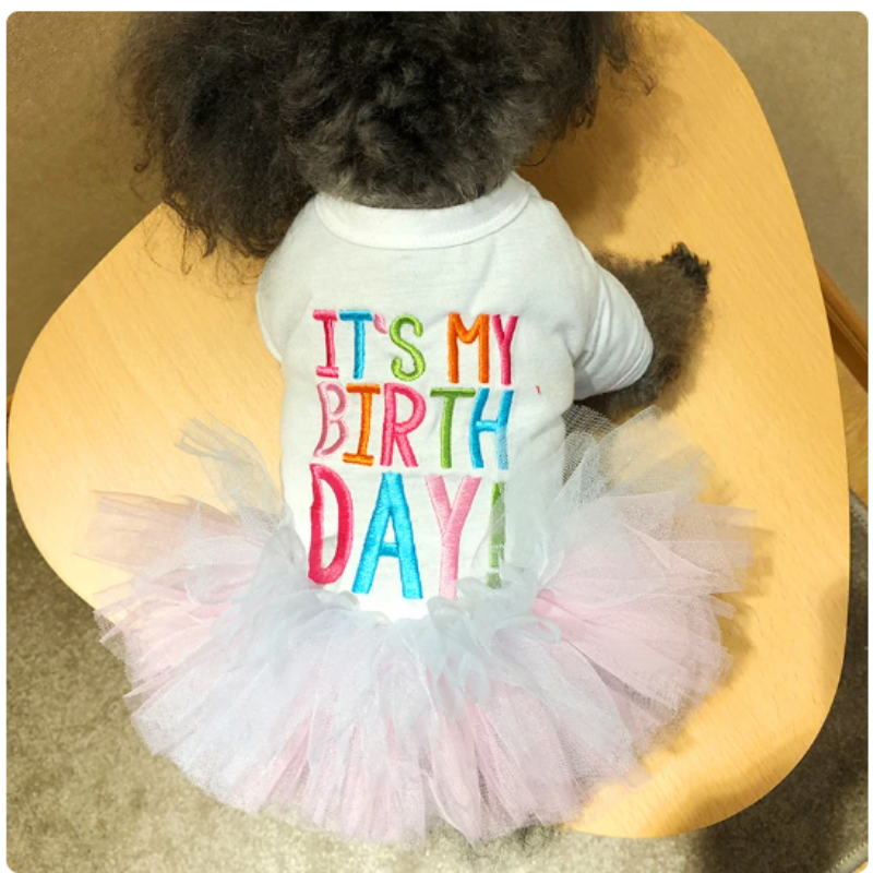 Tutu Birthday Dress Up Set Edmonton | Dog Apparel | Poochie Moochie ...