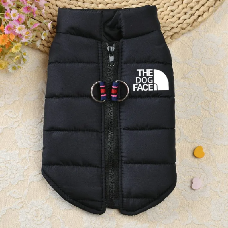 DogFace Designer Vest – Poochie Moochie Pet Store West Edmonton