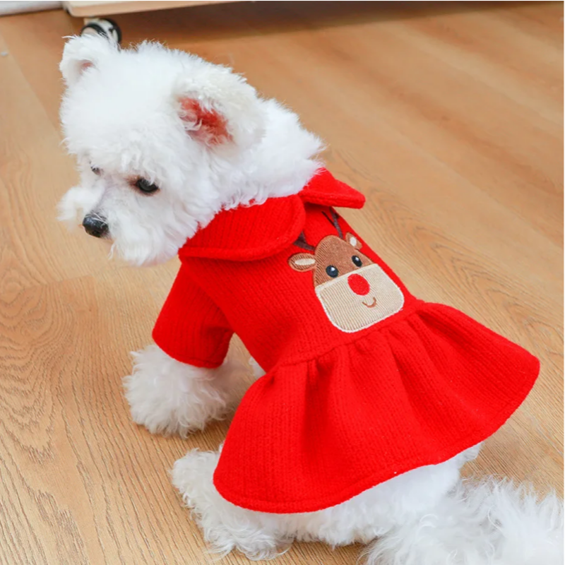 Winter Reindeer Dress – Poochie Moochie Pet Store West Edmonton