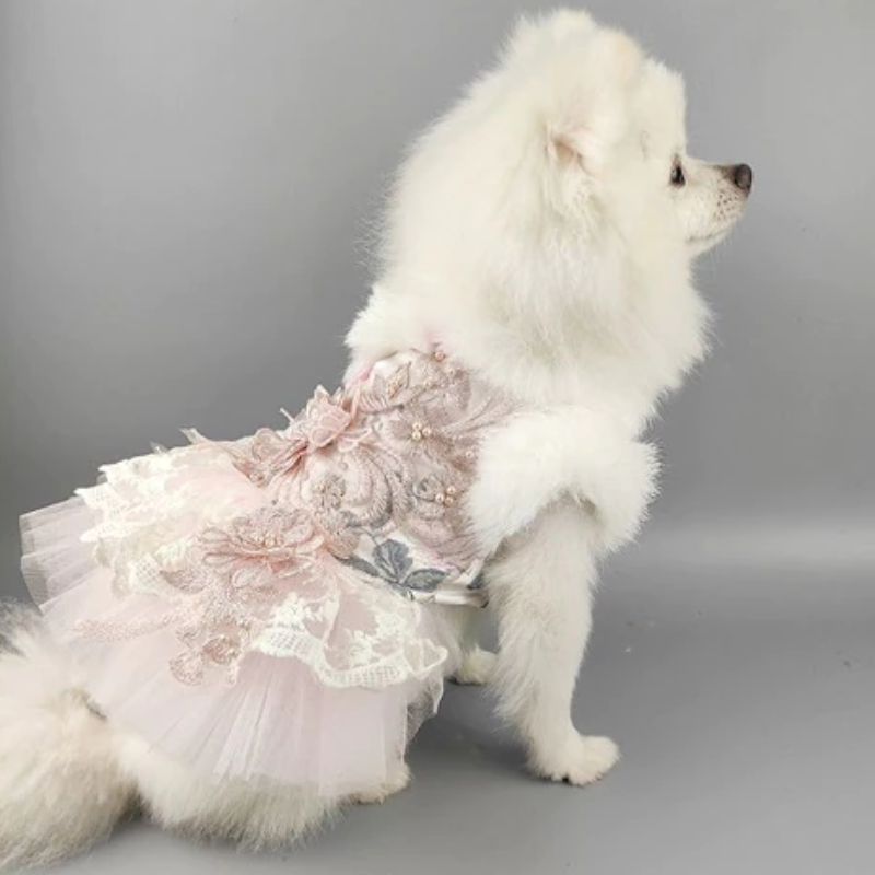 Luxury Handmade Dress – Poochie Moochie Pet Store West Edmonton