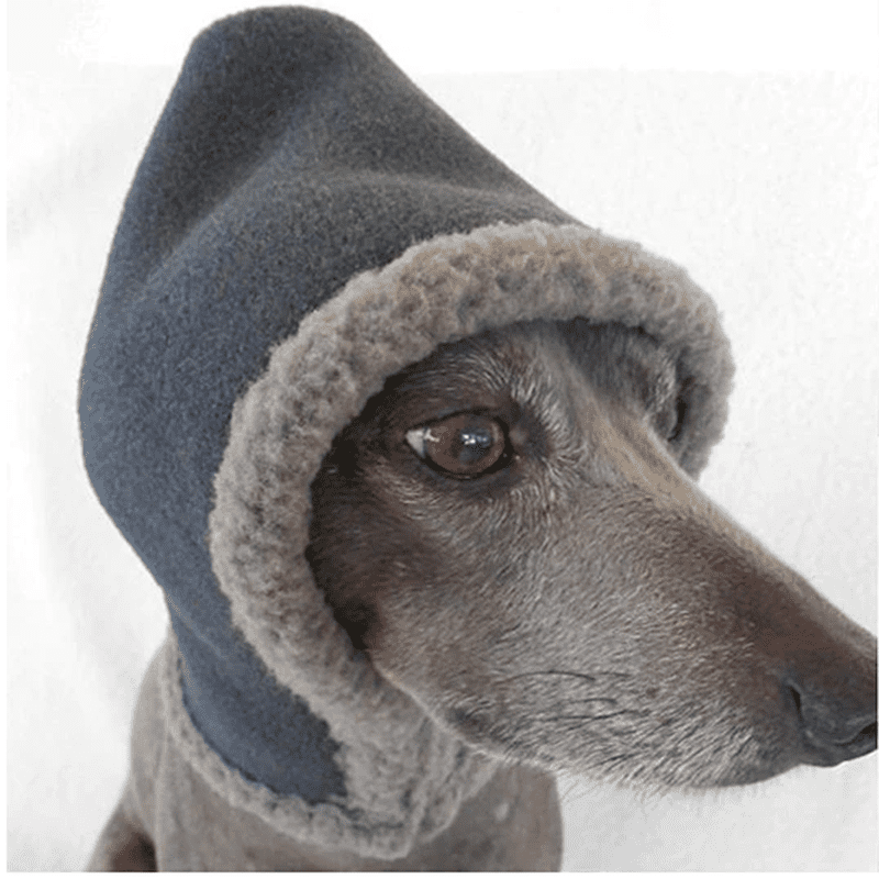 Lamb Wool Winter Hat Edmonton | Dog Apparel | Poochie Moochie – Poochie ...