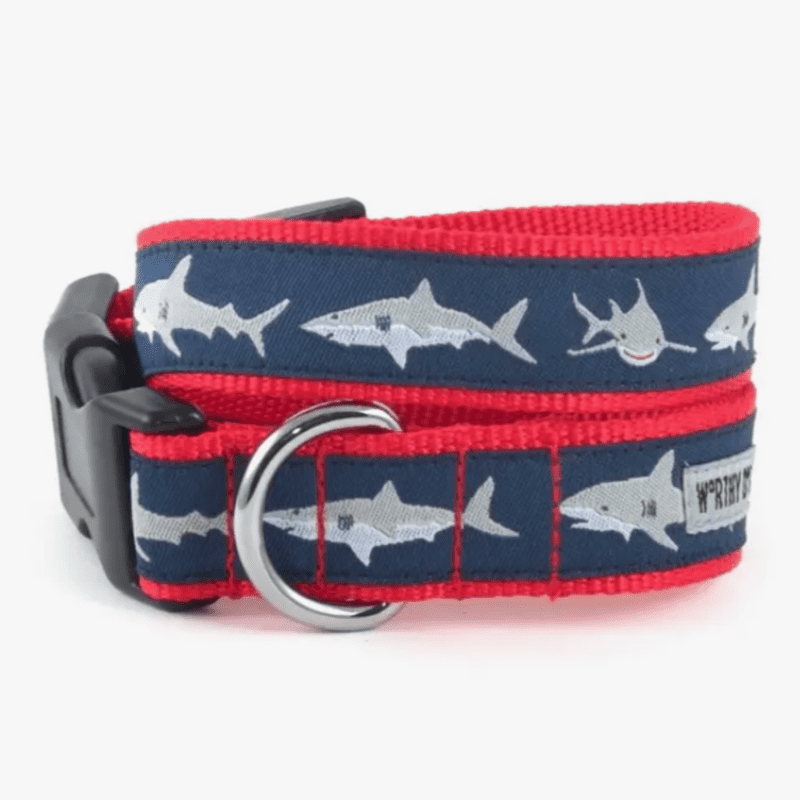 The Worthy Dog Collars – Poochie Moochie Pet Store West Edmonton
