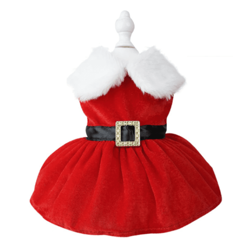 Miss Santa Dress – Poochie Moochie Pet Store West Edmonton